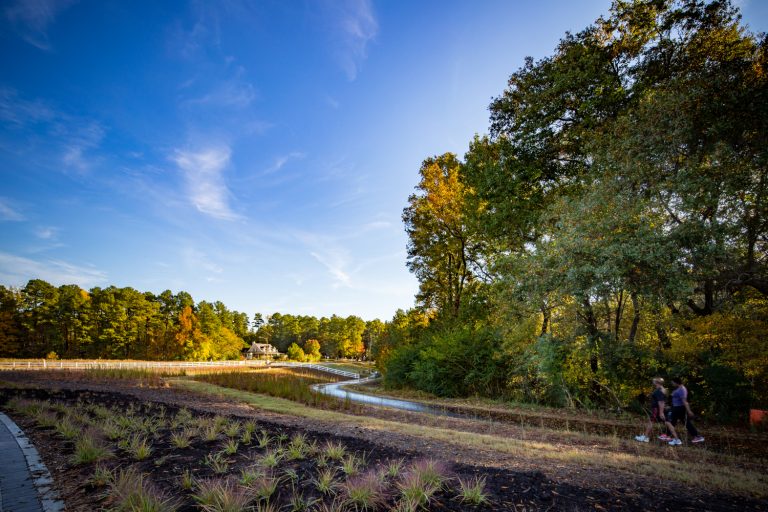 Projects - Surface 678