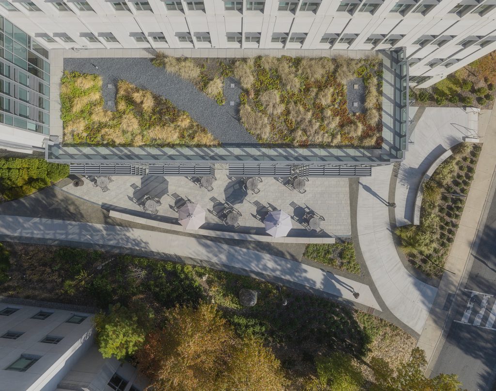 Surface 678 Wins 9 Awards in 2024 - Surface 678