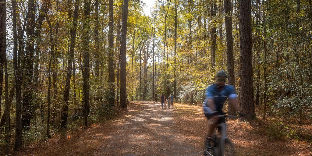 Artboard 2 - Surface 678