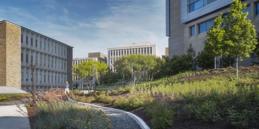 Duke-BellTower8 - Surface 678