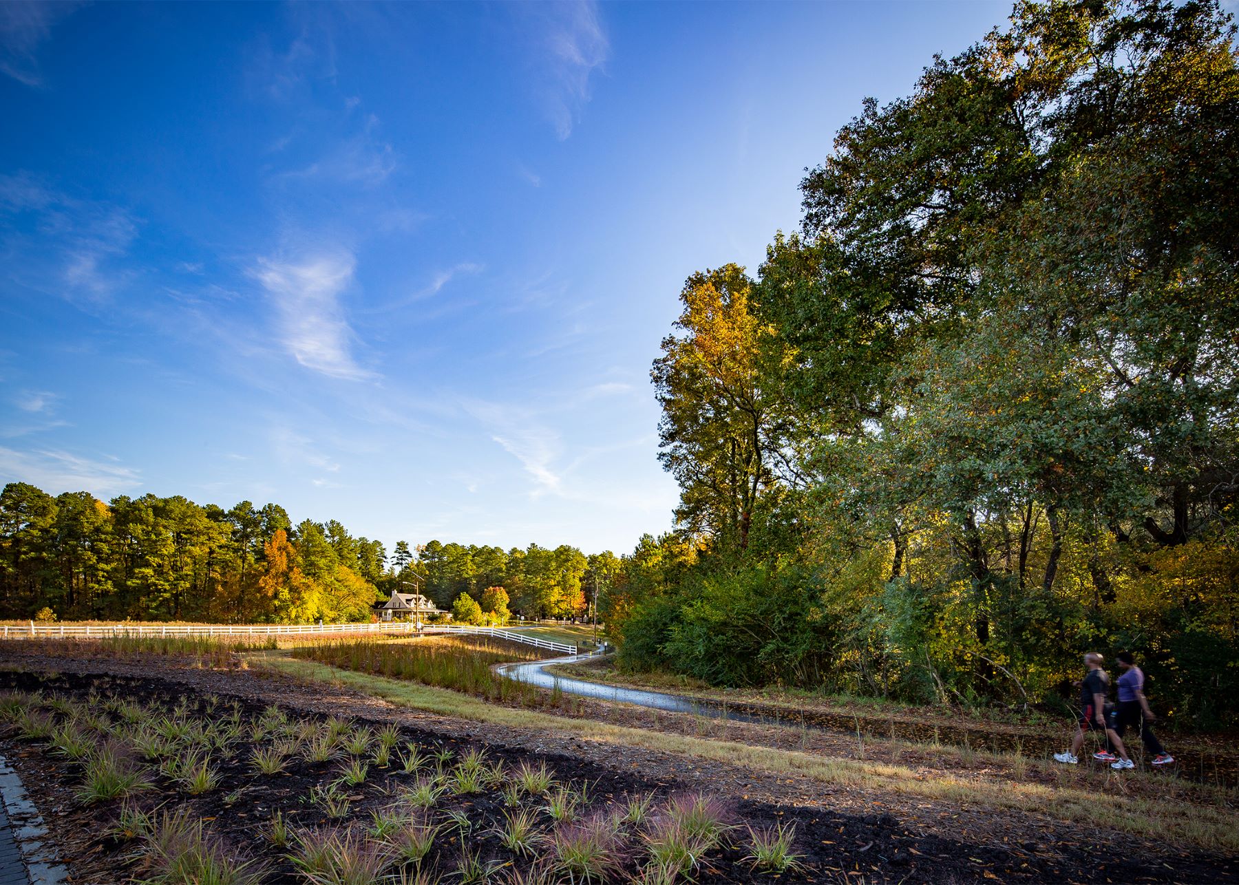 Eric Davis, Surface 678 Vice President & Partner Inducted Into ASLA Council of Fellows - Surface 678
