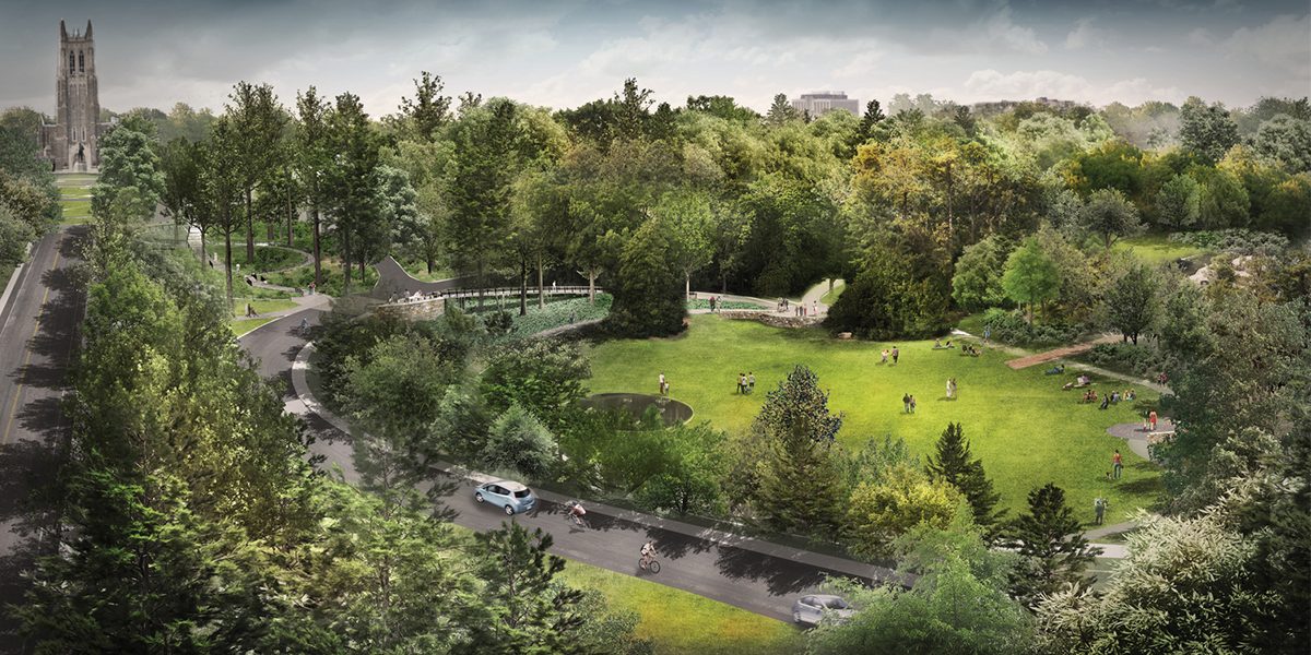 Sarah P. Duke Gardens Gateway - Surface 678